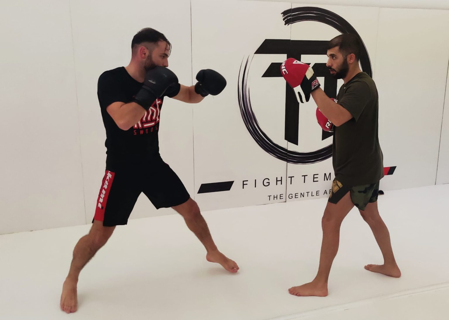 FIGHT TEMPLE – The Gentle Art